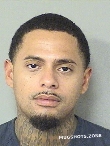 WILLIAMS MARIO MARTINEZ 07/05/2023 - Palm Beach County Mugshots Zone