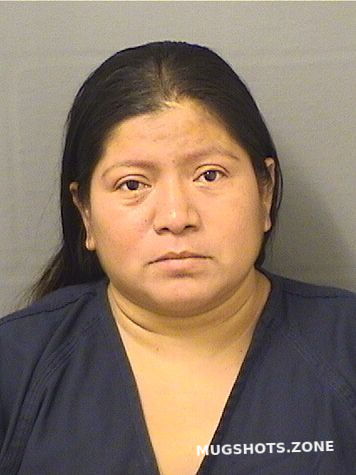 PEREZVELASQUEZ ANITA 08/22/2023 - Palm Beach County Mugshots Zone