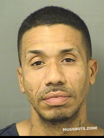 POLANCO ALAN 08/24/2023 - Palm Beach County Mugshots Zone