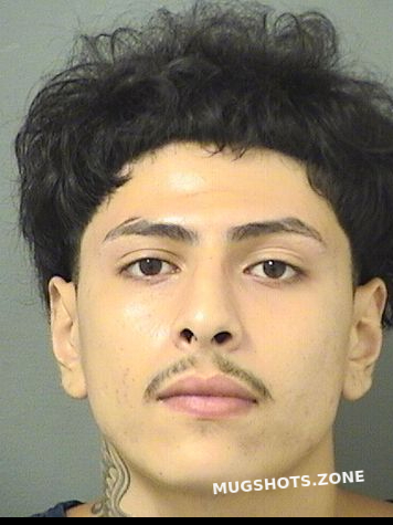 AVILASANTIBANES AXEL 08/30/2023 - Palm Beach County Mugshots Zone