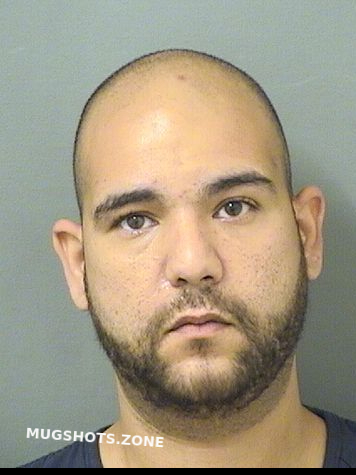 MOSES ANDREW MATTHEW 09/15/2023 - Palm Beach County Mugshots Zone