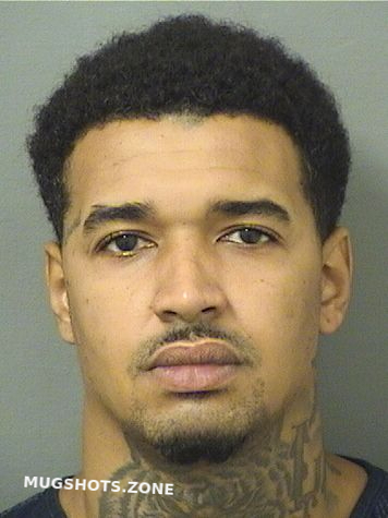 BAYLOR ANTHONY REECE 10/23/2023 - Palm Beach County Mugshots Zone