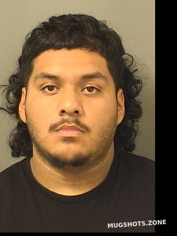 PIZANO MIGUEL ANGEL 10/29/2023 - Palm Beach County Mugshots Zone