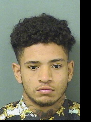 LEHNER CHRISTOPHER M 11/01/2023 - Palm Beach County Mugshots Zone
