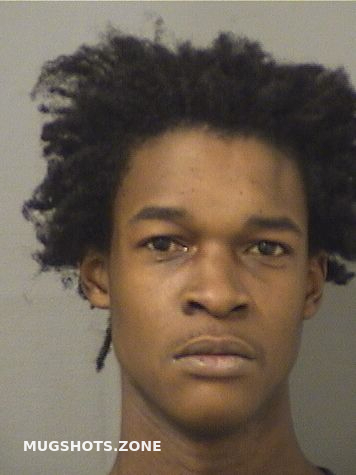 CHUCKY . 11/10/2023 - Palm Beach County Mugshots Zone