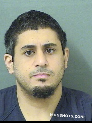 DAVID MICHAEL N 11/14/2023 - Palm Beach County Mugshots Zone