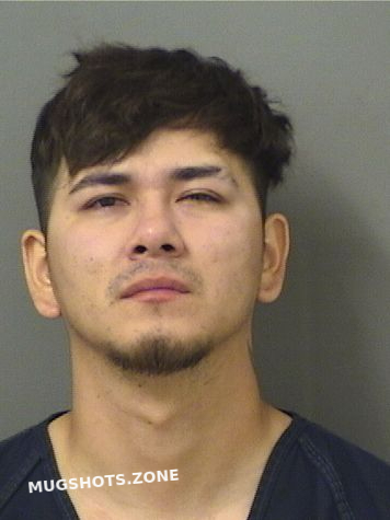 CALEROVALDEZ DANIEL FRANTZ 11/18/2023 - Palm Beach County Mugshots Zone