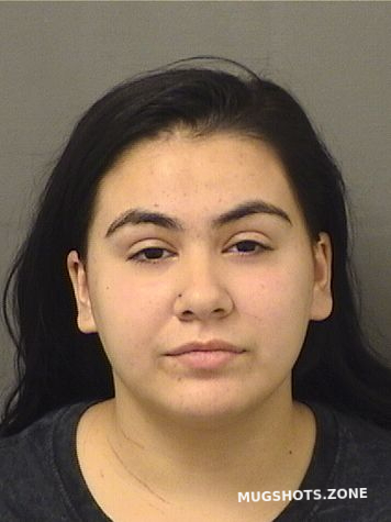 TEMPRANO ANALISE ISABEL 12/04/2023 - Palm Beach County Mugshots Zone