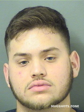 FORIERE DANTE 01/24/2024 - Palm Beach County Mugshots Zone