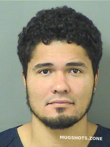 MCNAMEE RICHARD 02/09/2024 - Palm Beach County Mugshots Zone