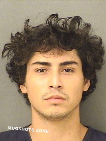 RICCIARDI CHRISTOPHER LOUISE 02/25/2024 - Palm Beach County Mugshots Zone