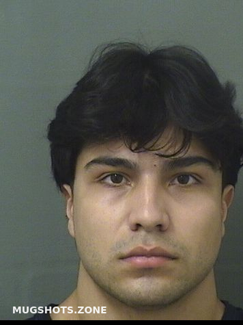 ROSS DEVIN MATTHEW 03/10/2024 - Palm Beach County Mugshots Zone