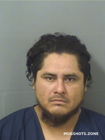 MORALES JARED B 03/10/2024 - Palm Beach County Mugshots Zone