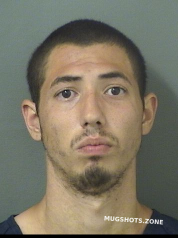 DELGADO ALVIN ALBERT 03/15/2024 - Palm Beach County Mugshots Zone