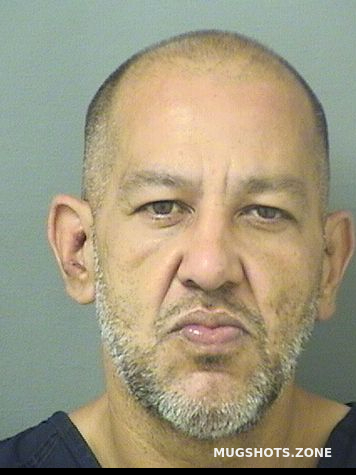 ROMAN PETER RAMON 04/10/2024 - Palm Beach County Mugshots Zone