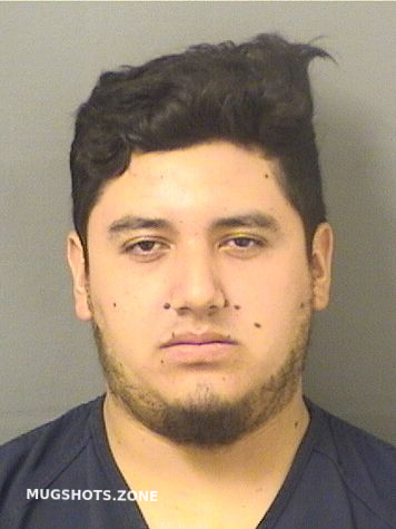 LAPARRAPEREZ BRAYAN IGNACIO 04/15/2024 - Palm Beach County Mugshots Zone