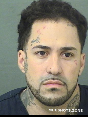 OLIVER ANDREW MOSES 04/20/2024 - Palm Beach County Mugshots Zone