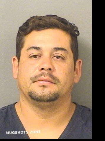 CAMBIAZOCONTRERAS DIEGO IGNACIO 05/19/2024 - Palm Beach County Mugshots ...