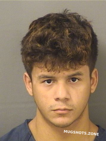 PENA EVAN 05/20/2024 - Palm Beach County Mugshots Zone