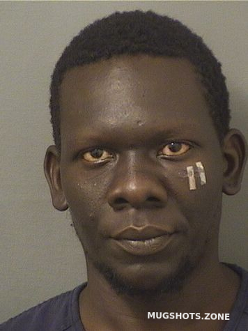 BAILEY GAVIN RUDOLPH 06/05/2024 - Palm Beach County Mugshots Zone