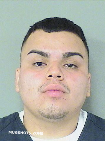 LEON EDUARDO ALEXANDER 06/17/2024 - Palm Beach County Mugshots Zone
