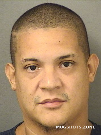 RODRIGUEZ ANDREW KEITH 06/17/2024 - Palm Beach County Mugshots Zone