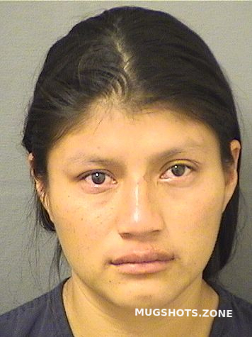 ALVARADOPELICO BRENDA AMARILIS 06/20/2024 - Palm Beach County Mugshots Zone