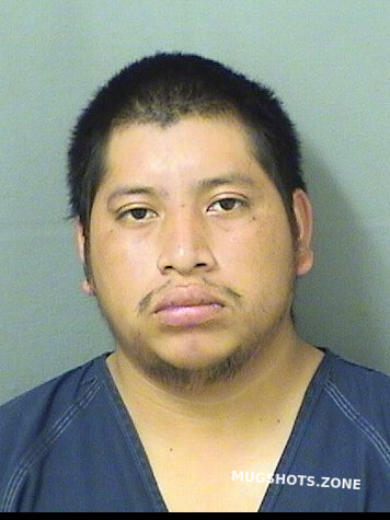 LUCASLOPEZ RONALDO 08/14/2024 - Palm Beach County Mugshots Zone