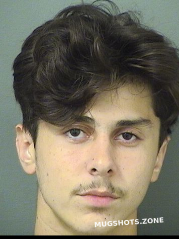 DAMPIER ETHAN TYLER 08/19/2024 - Palm Beach County Mugshots Zone