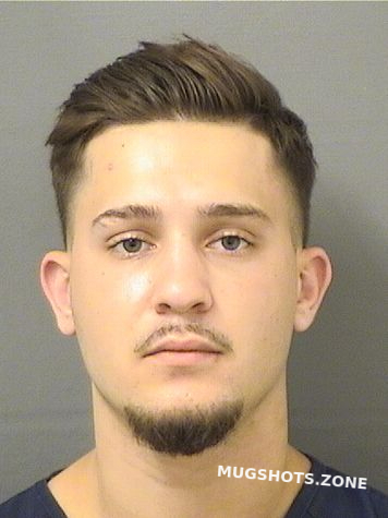 SOLSKIY DANIEL SERGEY 08/19/2024 - Palm Beach County Mugshots Zone