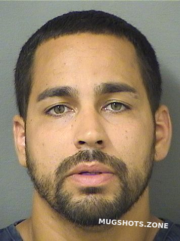 REYES ROBERT GAVEN 09/18/2024 - Palm Beach County Mugshots Zone