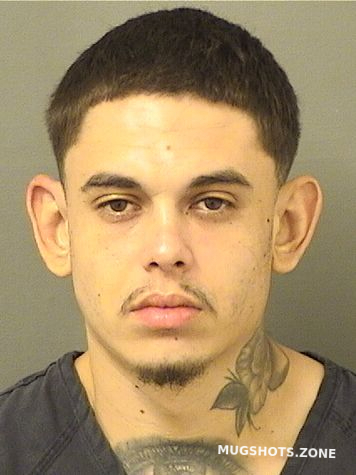 CLEMENTS JONATHAN SKYLER 09/28/2024 - Palm Beach County Mugshots Zone
