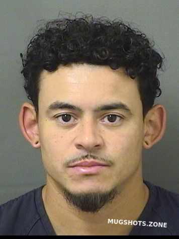 ALAMO CHRISTOPHER M 10/15/2024 - Palm Beach County Mugshots Zone