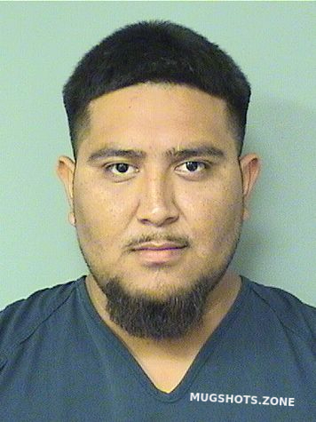 ROMAN MICHAEL 10/19/2024 - Palm Beach County Mugshots Zone