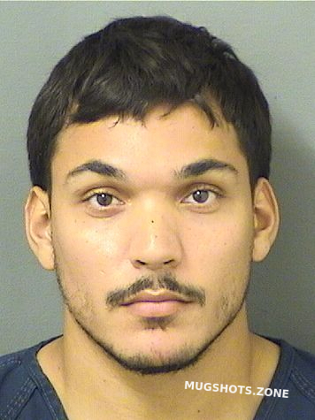 OCASIO MIGUEL ANGEL 10/29/2024 - Palm Beach County Mugshots Zone