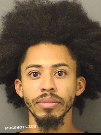 WILSON TIMOTHY ALLEN 11/01/2024 - Palm Beach County Mugshots Zone