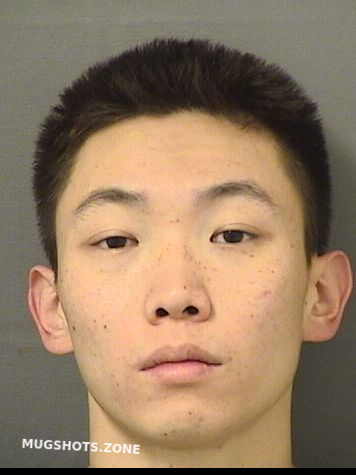 YANG MICHAEL 11/05/2024 - Palm Beach County Mugshots Zone