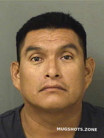 HERNANDEZVELASQUEZ LUIS RENE 11/06/2024 - Palm Beach County Mugshots Zone