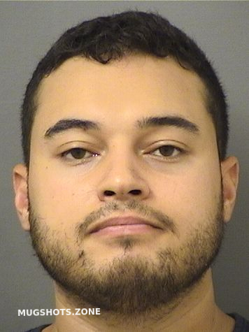 FELIX DANIEL MICHAEL 11/06/2024 - Palm Beach County Mugshots Zone
