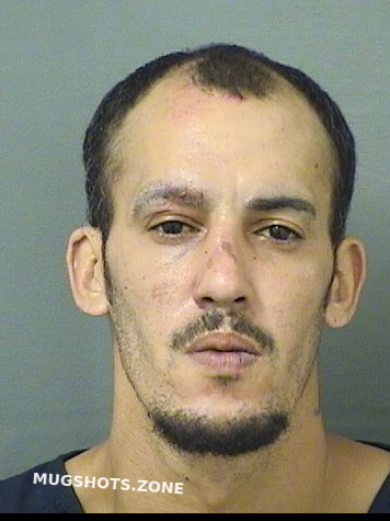 SCARLATO GREGORY VINCENT 11/12/2024 - Palm Beach County Mugshots Zone