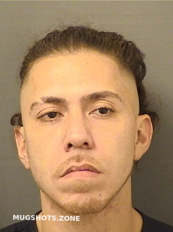 MARTINEZ DANNY 11/14/2024 - Palm Beach County Mugshots Zone