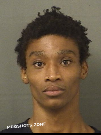 SCOTT DAVID 11/16/2024 - Palm Beach County Mugshots Zone