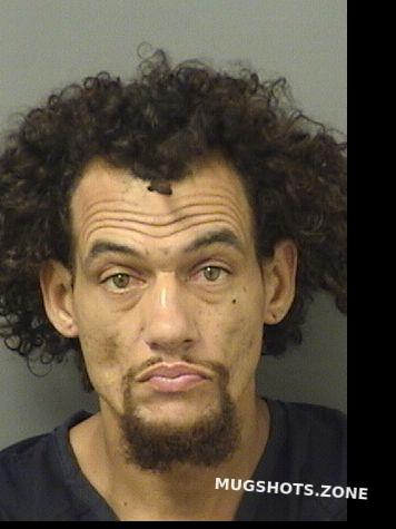 HUNT JOSHUA DAVID 11/20/2024 - Palm Beach County Mugshots Zone