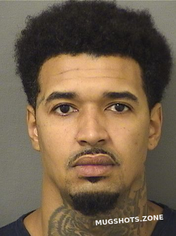 BAYLOR ANTHONY REECE 11/22/2024 - Palm Beach County Mugshots Zone