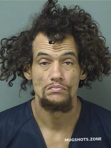 HUNT JOSHUA DAVID 11/26/2024 - Palm Beach County Mugshots Zone