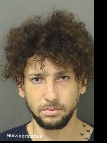 TAYLOR HENRY ELIJAH 12/24/2024 - Palm Beach County Mugshots Zone