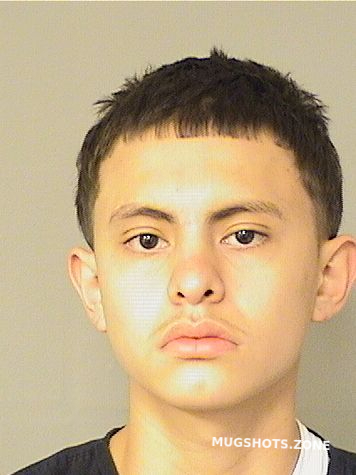 CHARBONEAU ADRIAN 12/27/2024 - Palm Beach County Mugshots Zone