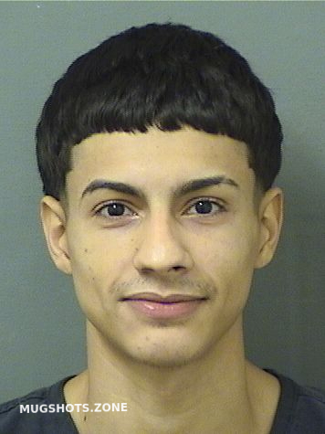 SPILLEREPAGANI DANIEL 12/31/2024 - Palm Beach County Mugshots Zone