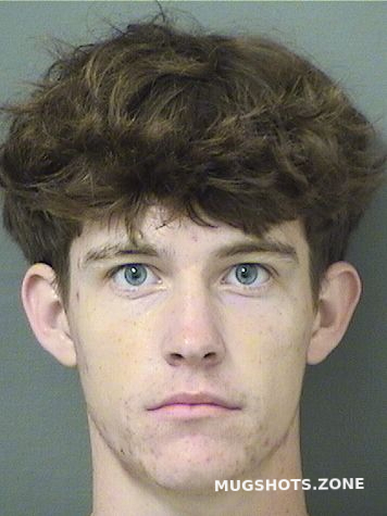 SEARCH TYLER DAVID 03/02/2025 - Palm Beach County Mugshots Zone