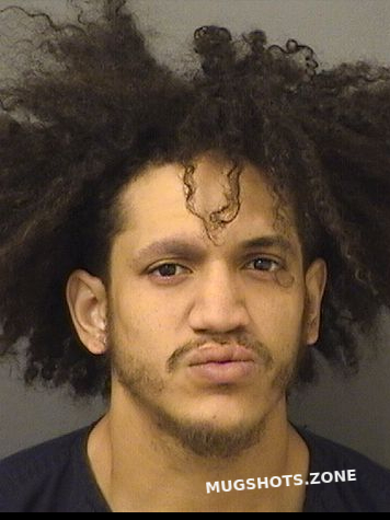 WILSON ANTHONY HUBERT 03/14/2025 - Palm Beach County Mugshots Zone